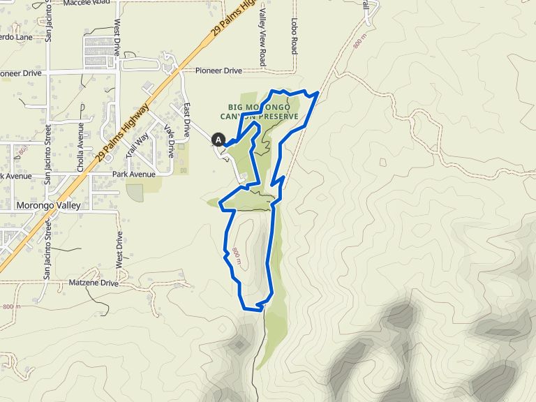 Big Morongo Canyon Preserve – San Bernardino NF/Sand to Snow Monument ...
